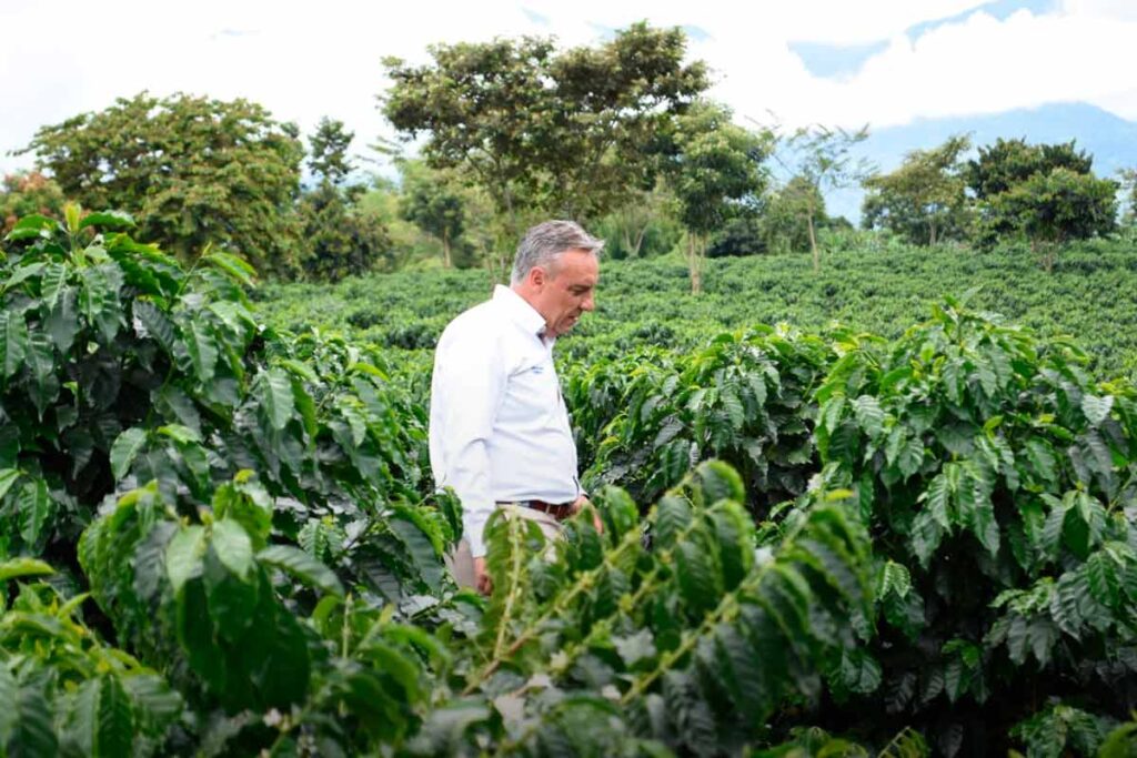 Quindío líder exportador de 2022, el departamento que lo tiene todo ...