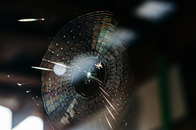 10 Famous Myths and Legends of the World | Más Colombia