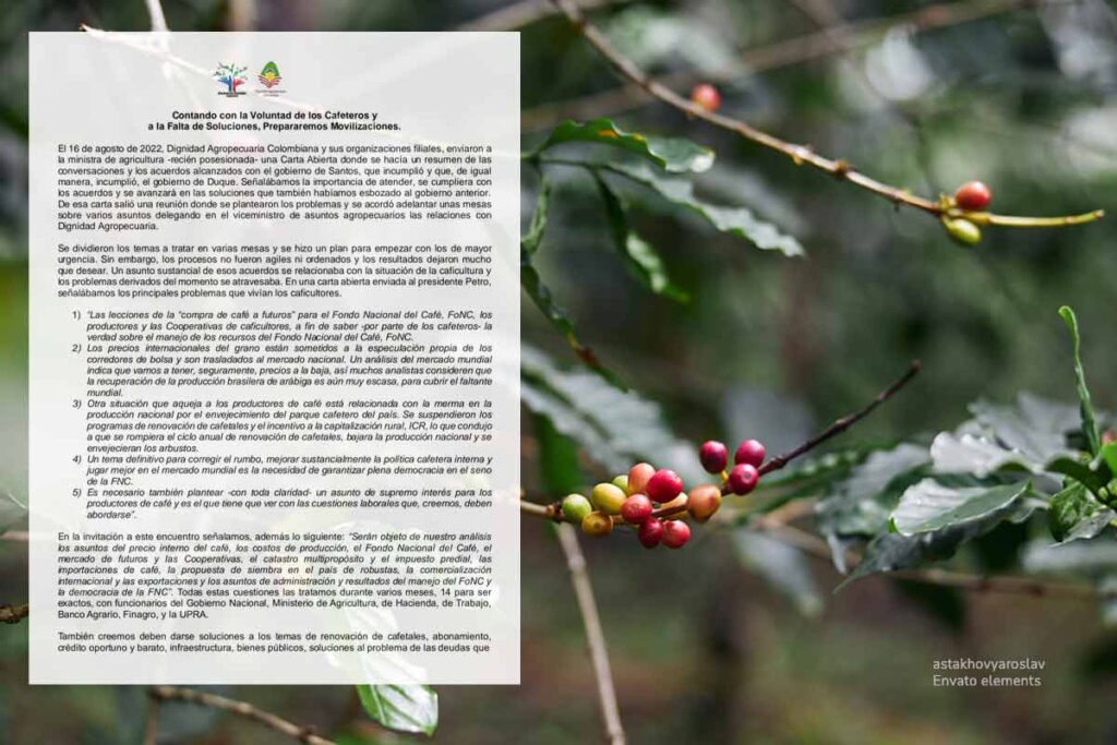 Por crisis del café y poca acción del Gobierno, caficultores preparan ...
