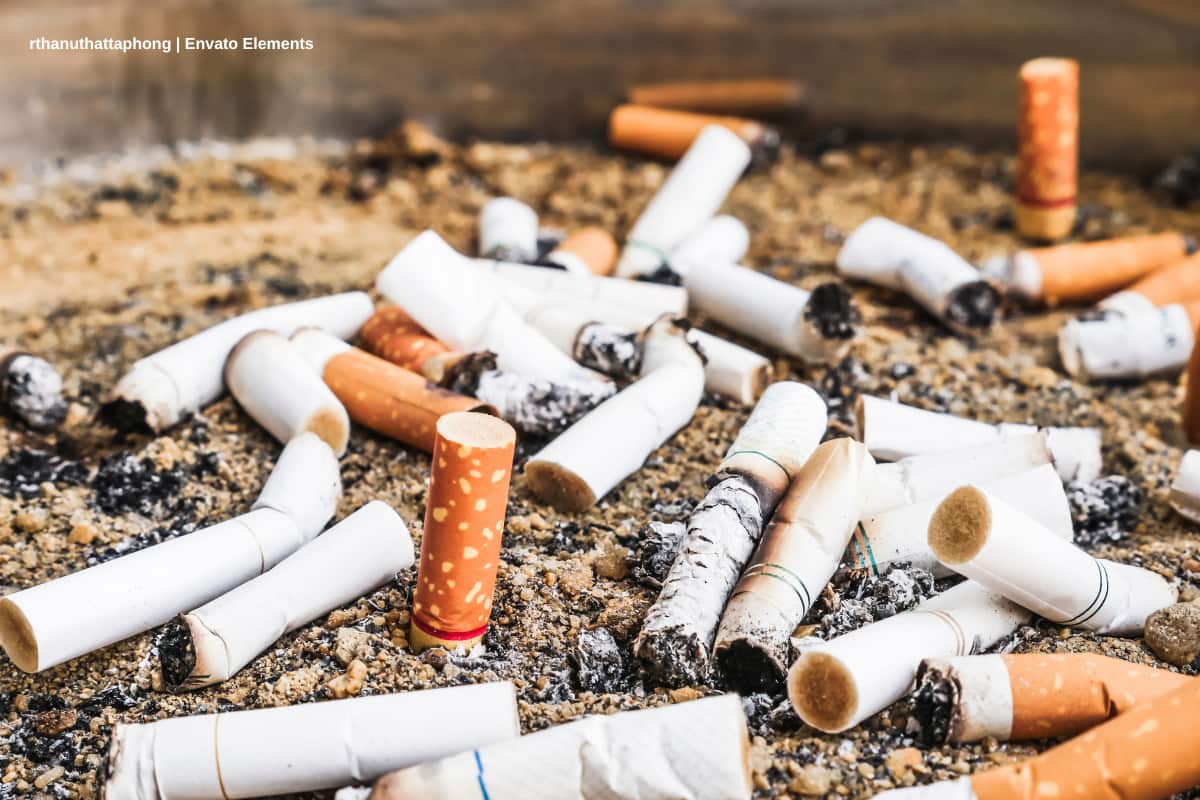 Día Mundial sin Tabaco: el medio ambiente también sufre con el consumo ...