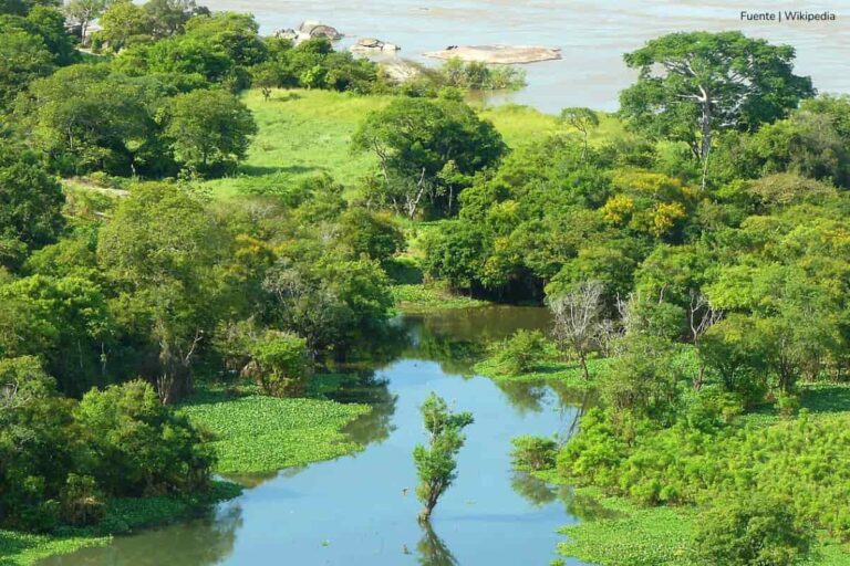 Los ríos más importantes de Colombia, además de bonitos y visitados ...