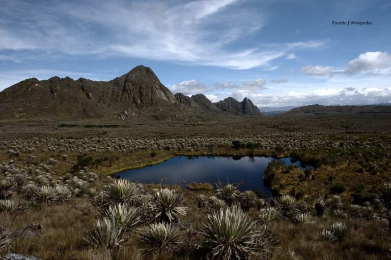 Páramo de Sumapaz: el ecosistema más extenso del mundo enfrenta un ...