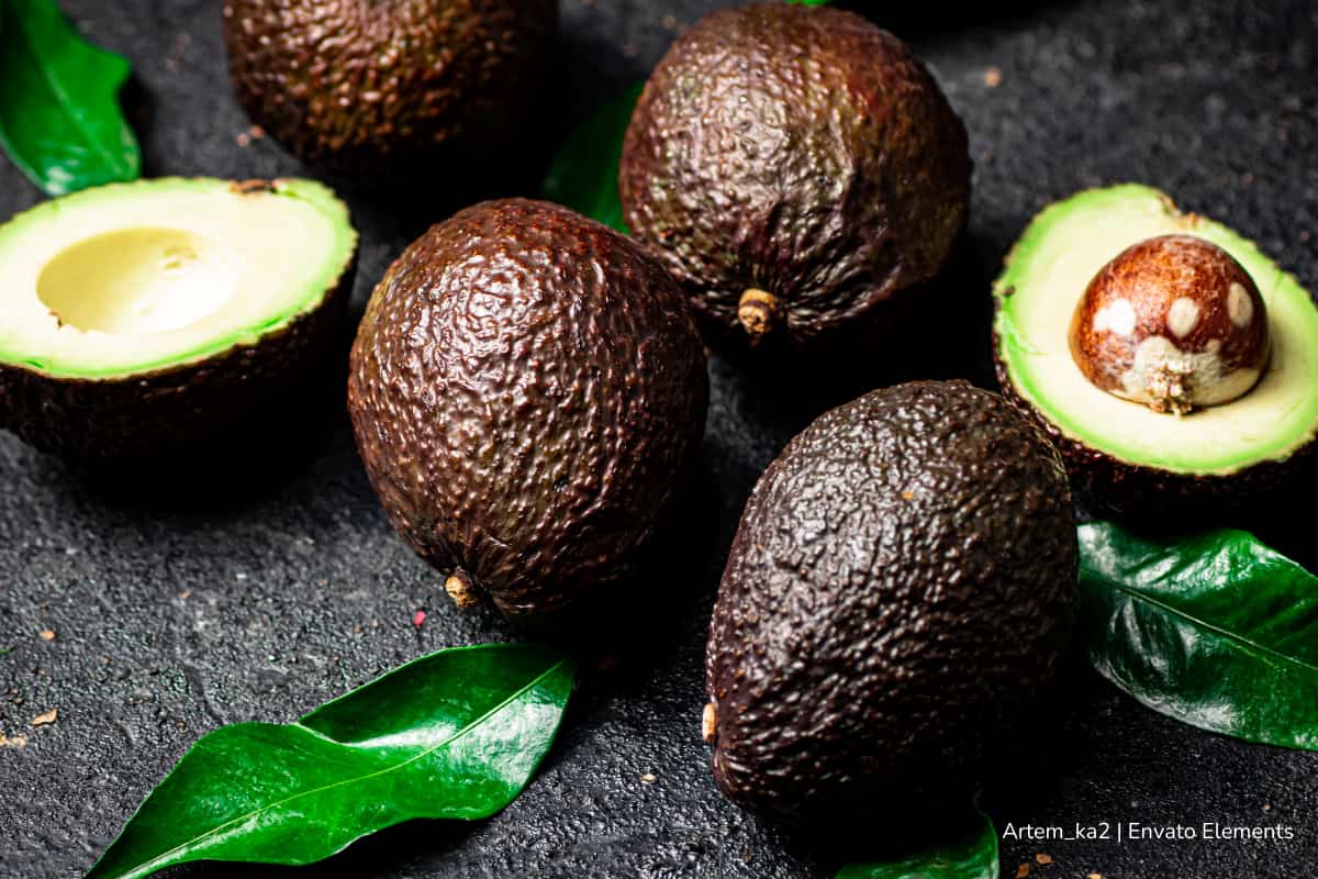 Científico de la UNAL descubre uno de los beneficios del aguacate Hass ...