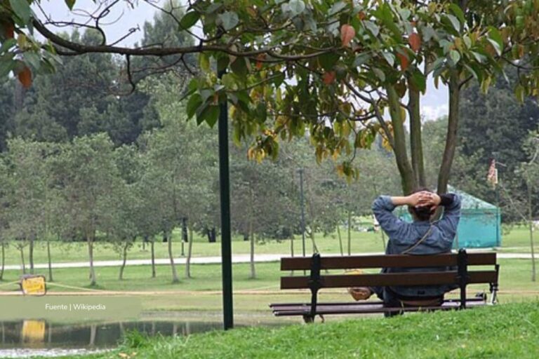 ¿En qué estado están los parques de barrio? Un nuevo índice creado por ...